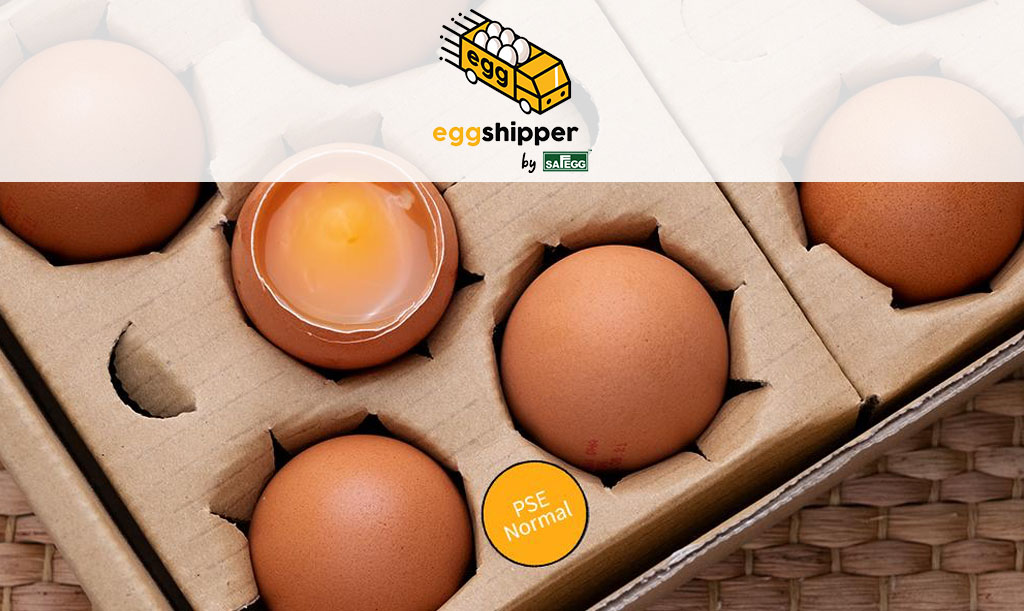 eggshipper - Hello Malaysia